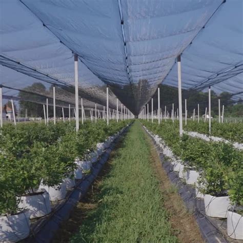 Pelemix Ltd On Linkedin Pelemix Cropgrowing Sustainableagriculture Sustainablegrowth…