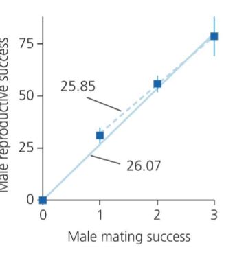 Evolution Quiz 6 Flashcards Quizlet