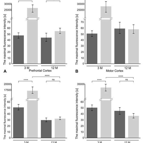 Maximal Fluorescence Intensity After Injection Of 40kd Fitc Dextran In 3 Download Scientific