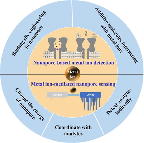 Nanopore‐based Metal Ion Detection And Metal Ion‐mediated Nanopore Sensing† Song 2023