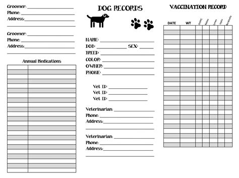 Printable Pet Health Record Template Excel Printables Template Free