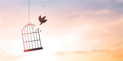 Identifying Sex Trafficked Patients Babe Of Human Ecology UWMadison