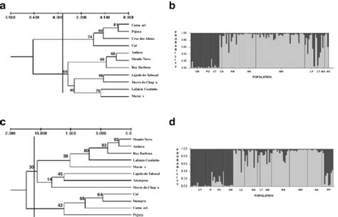 Unweighted Pair Group Method Using An Arithmetic Average Upgma