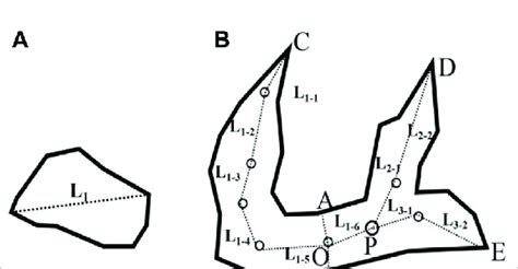 Schematic Diagram Of Overall Shape Angularity And Surface Roughness Of