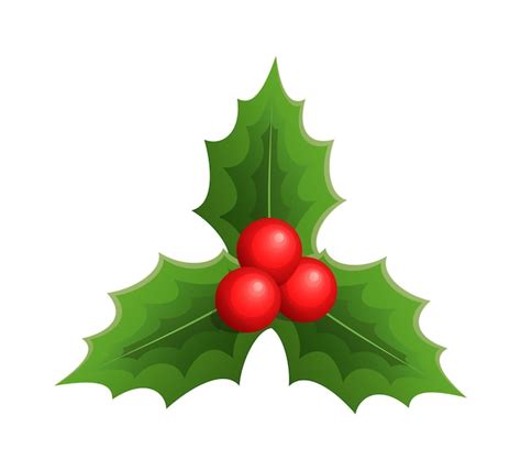 Premium Vector Vector Mistletoe Isolated On White Background