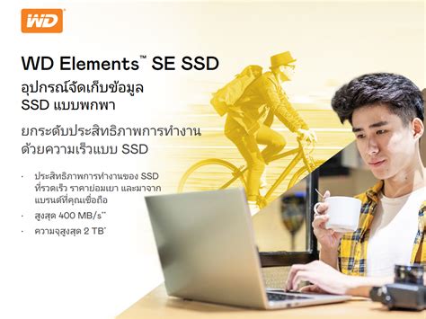 WD Element SE External 2TB SSD อปกรณจดเกบขอมลแบบพกพา เอสเอสด ของแท ประกนศนย 3ป
