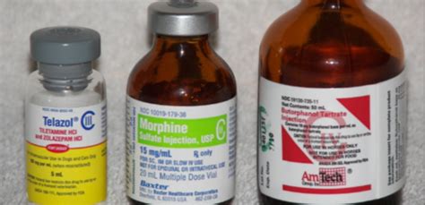 Chapter 16 Flashcards Quizlet