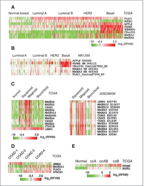 Figure 1 From Tumor Subtype Specific Cancertestis Antigens As