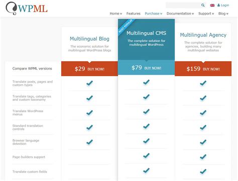 Polylang Vs WPML Which Translation Plugin Should You Use
