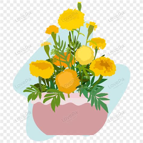 꽃 식물 벡터 일러스트 레이 션 Png 일러스트 무료 다운로드 Lovepik