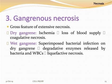 Ppt Necrosis Causes Morphology And Types Powerpoint Presentation
