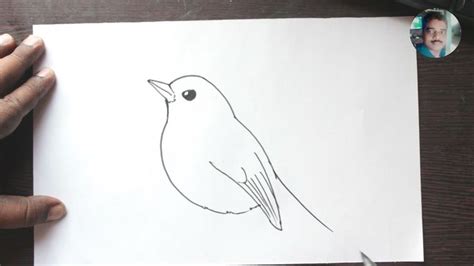 How To Draw A BIRD Easy Steps Step By Step Bird Drawings Drawings Draw