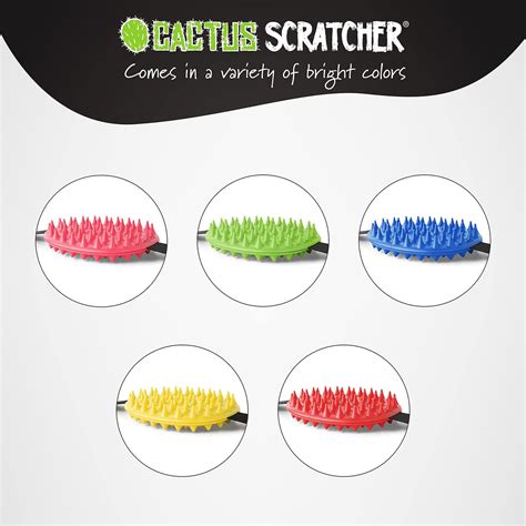 Back Scratcher Cactus Scratcher