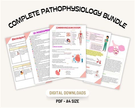 Pathophysiology Study Guide Bundle 70 Pages Pathophysiology Nursing