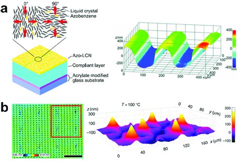 A 3d Visualization Of Domain Configurations And Topography In Download Scientific Diagram