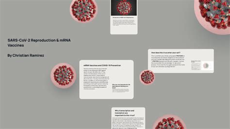 Sars Cov 2 Reproduction By Christian Ramirez On Prezi