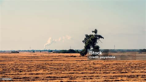 공장 굴뚝과 대기 오염 지구 기후 변화에서 연기에서 나무를 탈출 0명에 대한 스톡 사진 및 기타 이미지 0명 가장자리 감소 Istock