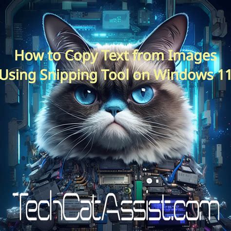 How To Copy Text From Images Using Snipping Tool On Windows TechCatAssist