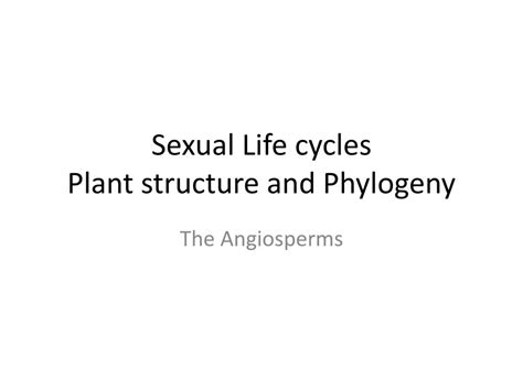 PPT Sexual Life Cycles Plant Structure And Phylogeny PowerPoint Presentation ID 5631889