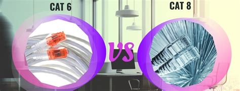 Cat Vs Cat Which Is Right For Your Office Network IFeeltech