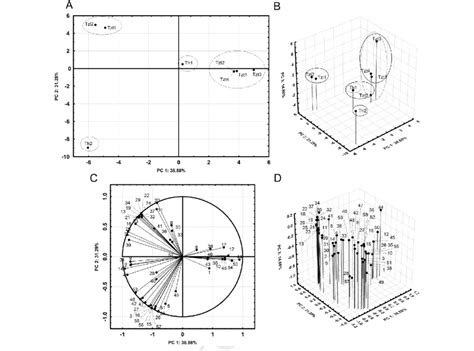 e pca score and loading plots a score plot of pc2 vs pc1