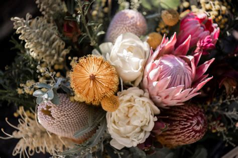 Zoe And Tom The Wild Rose Florist