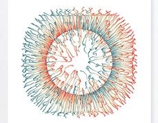 Flocking Behavior Generated With Code Behance