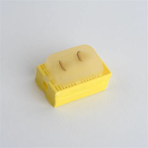 Histoskin Ffpe Skin Block Genoskin Eu Shop