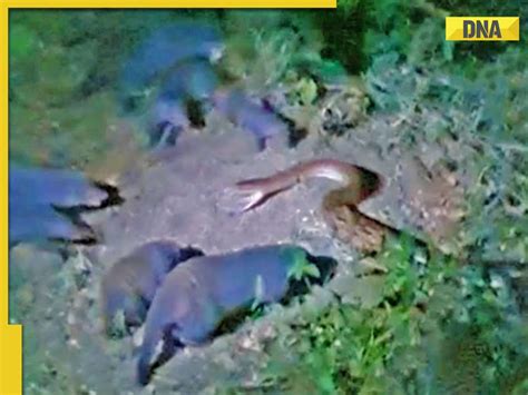 Casting Couch Calendar Prntbl Concejomunicipaldechinu Gov Co