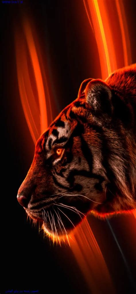 تصویر زمینه استقلال