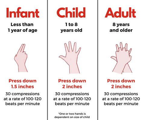 How To Perform Cpr Guidelines Procedure And Ratio Atelier Yuwa Ciao Jp