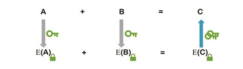 Digital Technologies The Benefits Of Homomorphic Encryption A