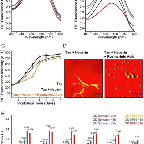 Anti Aggregation And Anti Cancer Effects Of Ra Thioflavin T Tht Download Scientific Diagram