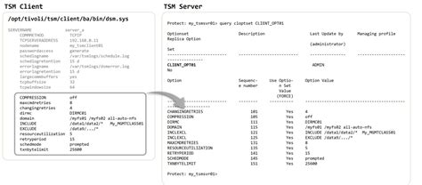 How To Centralize Tsm Client Options Technote101