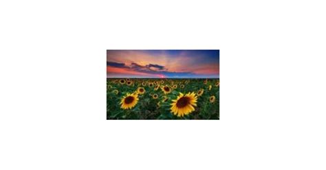 Gabrielle Laccheo Obituary 1939 2016 Legacy Remembers