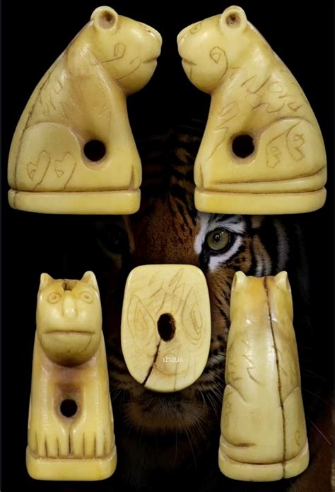 เสือหลวงพ่อปาน วัดคลองด่าน บัวอุบล