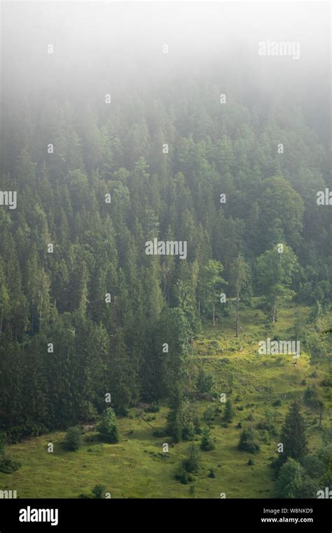 Disappearing In Mist Hi Res Stock Photography And Images Alamy