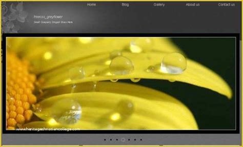 free website templates download html and css and jquery of caribbeansoftzone blog