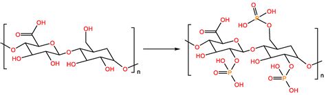 Polysaccharide Molecule