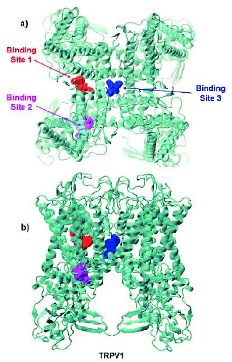 The Three Most Stable Binding Sites Of 4r 7s Hsv Dkh 0450 Isomer At