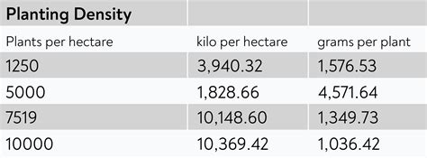 T Planting Barista Hustle