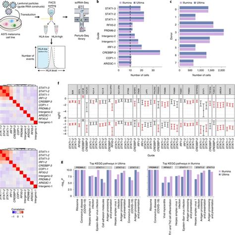 Pdf Mostly Natural Sequencing By Synthesis For Scrna Seq Using Ultima Sequencing