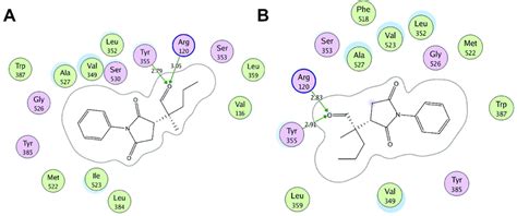Two Dimensional 2d Interaction Plot Of Compound 4 Into The Binding Download Scientific