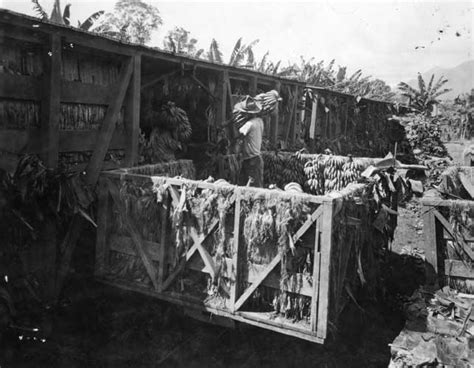 The United Fruit Company In Guatemala Background Coup History In