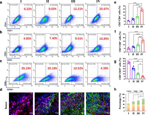 Percentage Of Tumor Infiltrating T Cells Cd3⁺ Cd4⁺ Cd3⁺ Cd8⁺ A B Download Scientific