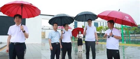 省教育厅二级巡视员李金泉调研我市校园足球和美育工作 张家港市 凤凰镇 京剧