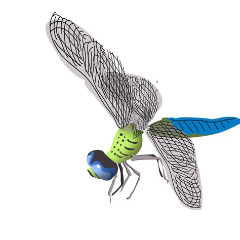 곤충 일러스트 잠자리 소재 001 곤충 잠자리 소재 곤충 잠자리 001 아이콘 요소 Png 일러스트 및 Psd 이미지 무료