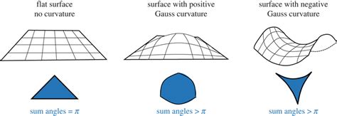 Schematic Of The Concept Of Curvature Flat Surfaces Had No Curvature