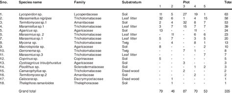 Total Individual Species Density Of Macrofungi In The Five Plots Download Table