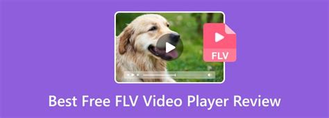 Los 10 Mejores Reproductores Flv Gratuitos Para Windows Y Mac